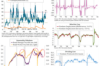 The Daily Feather | Danielle DiMartino Booth | Substack