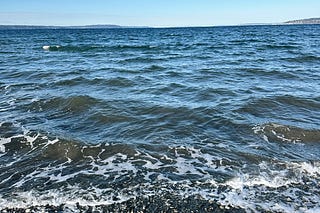 Fireside | Ashley Rodriguez | Substack