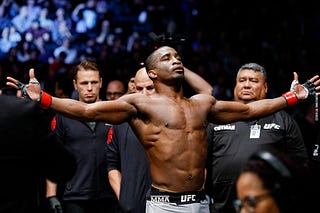 The Chad Rabbit | Substack