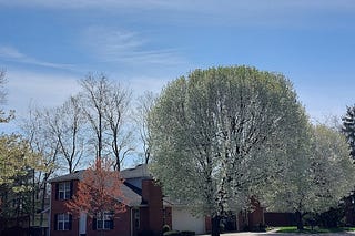 Further Up | Bethel McGrew | Substack