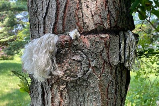 The Deliberate Practice | Jeremy Barr | Substack