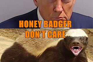 L'Ombre de l'Olivier | Francis Turner | Substack