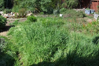 Rushkoff | Douglas Rushkoff | Substack