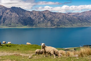 Archive - Scarlet Ink