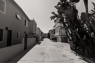 The Deep | C.S. Mee | Substack