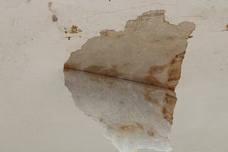 Nina Power | Substack