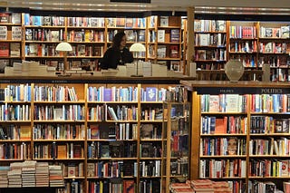 Queria ser grande, mas desisti | Bárbara Bom Angelo | Substack