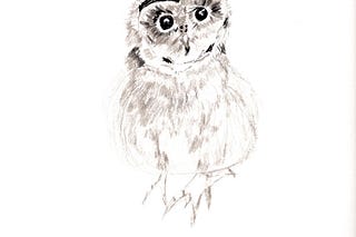 Christy’s Substack | Christy Lynn Anana | Substack