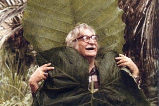 Ars Poetica | Substack