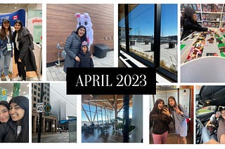 Ami’s Newsletter | Ami Shah | Substack