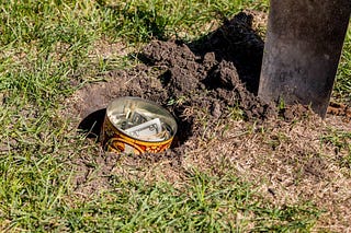 Pretium Insights | JD Breen | Substack