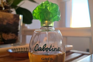 Leer por leer | Amaya Ascunce | Substack