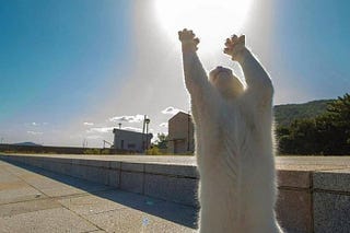 Screaming into the Void | SimulationCommander | Substack