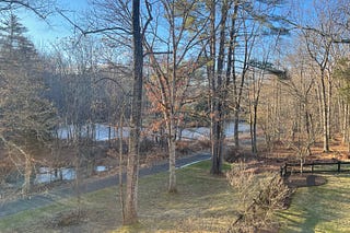 Lucid | Ruth Ben-Ghiat | Substack