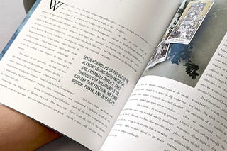 The Rebis | Hannah Levy | Substack