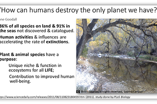 Wildlands | Robin Motzer | Substack