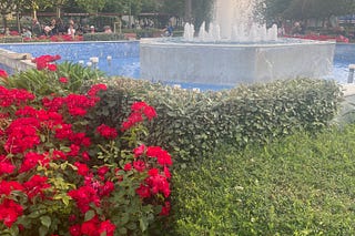 Elijah’s Substack | Elijah Gatlin | Substack