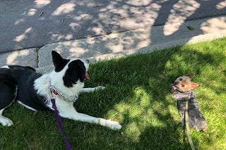 Paperdolls & Cowboy Boots | April Daniels | Substack