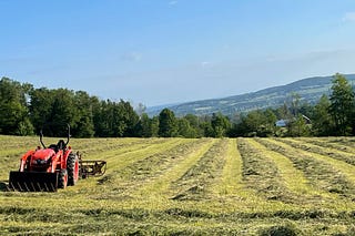 Asking Amy | Amy Dickinson | Substack