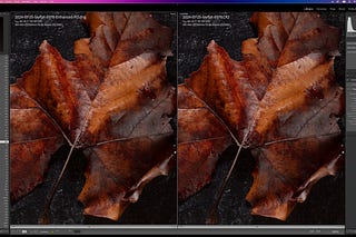 Paper Arts Collective Newsletter | Substack