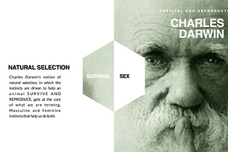 Men’s Psychology® | Dr. Paul | Substack