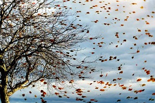 Faith Seeking Understanding | Allan R. Bevere | Substack