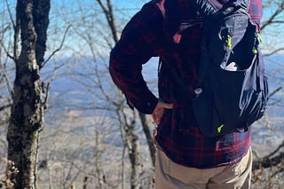 Locusts and Honey | Lori Harris | Substack