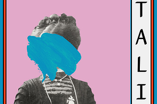 Excerpts from Pocket Observatory | Meg Conley | Substack