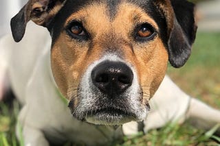 What then? | Sam Alaimo | Substack