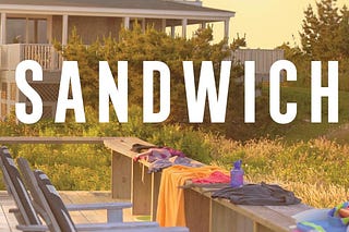 Lynne’s Bookish Substack | Lynne Perednia | Substack