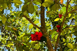 Nedra Nuggets | Nedra Glover Tawwab | Substack