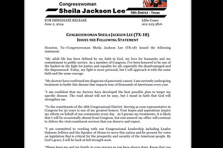 The Houston Comical | Merissa Hansen | Substack