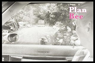 Samantha Bee | Substack