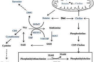 The Orthomolecular Guy | Kevin Kirkpatrick | Substack