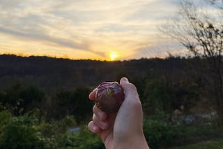 The Redemptive | Breanne Rodgers | Substack