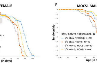 Harnessing the Power of Nutrients | Chris Masterjohn, PhD | Substack