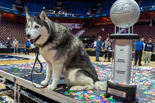 Fun Fact Friyay | Joey Held | Substack