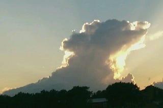 The Max Substack | Max Anderson | Substack