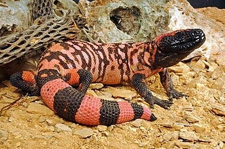 Astral Codex Ten | Scott Alexander | Substack