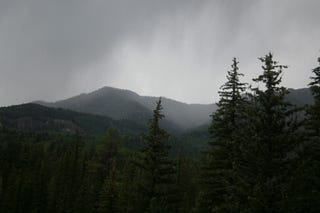 The Magnificent Missives of Abigail Falanga | Substack