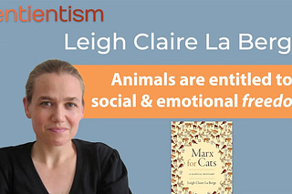 Sentientism | Jamie Woodhouse | Substack