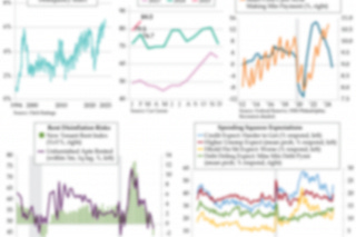 The Daily Feather | Danielle DiMartino Booth | Substack