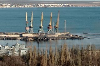 Simplicius's Garden of Knowledge | Simplicius The Thinker | Substack