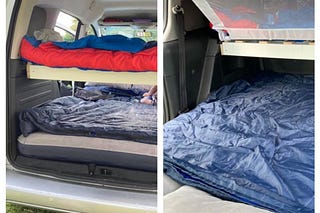 In Her Nature, by Rachel Hewitt | Substack