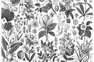 Science Fictions | Stuart Ritchie | Substack