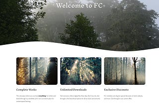 Fog Chaser | Substack