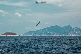 Afrikya Stories | Khalil Gdoura | Substack