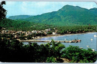 Meditations in an Emergency | Rosecrans Baldwin | Substack