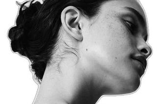 Charlotte's Book | Robin Levine Shobin | Substack