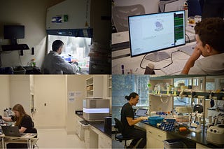 NewLimit Blog | Brian Armstrong | Substack